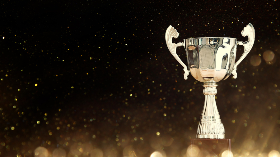 totality services wins Feefo’s Platinum Service Award 2024